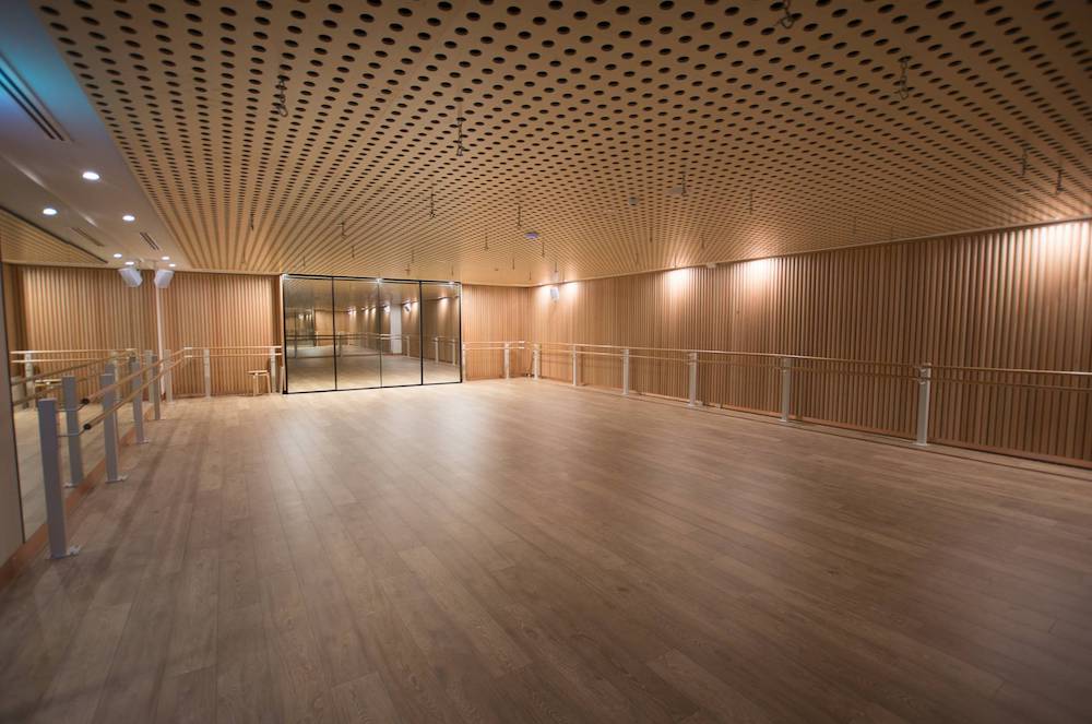 Plywood - DESIGNER PLY Perforated from ForestOne