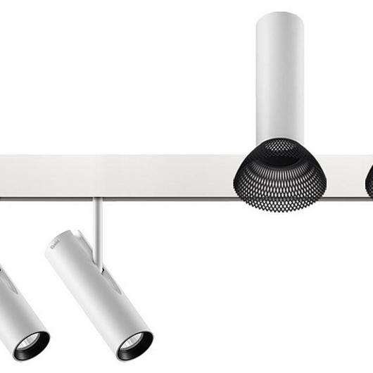 Gallery of Spotlight - Robin - 2