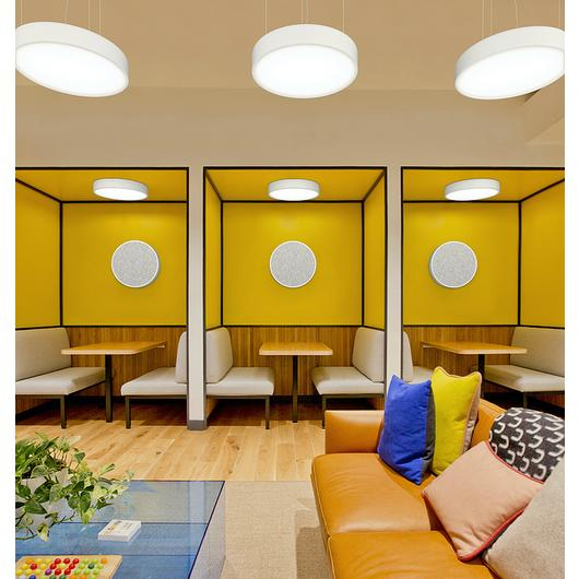 Ceiling Surface Lights - Area from Eureka Lighting