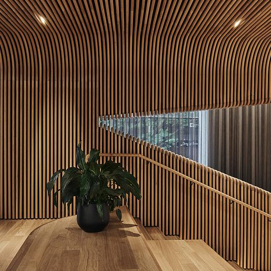 Gallery of Sculptform Design Studio - 6