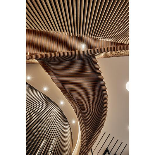 Gallery of Sculptform Design Studio - 2