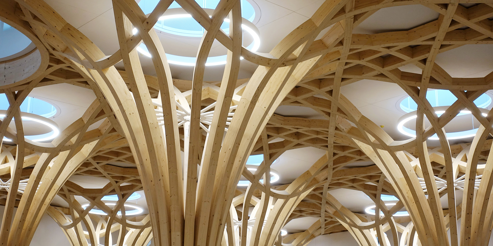Free Form Structures for Wood Projects from Blumer Lehmann