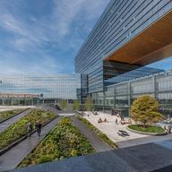 Interior Wood Cladding - NATURPANEL - W from PARKLEX PRODEMA