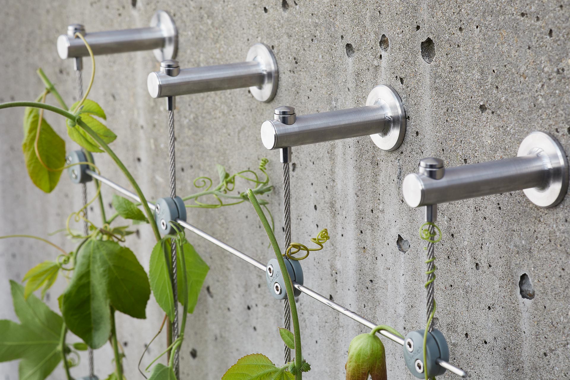 Gallery of Green Walls - 3