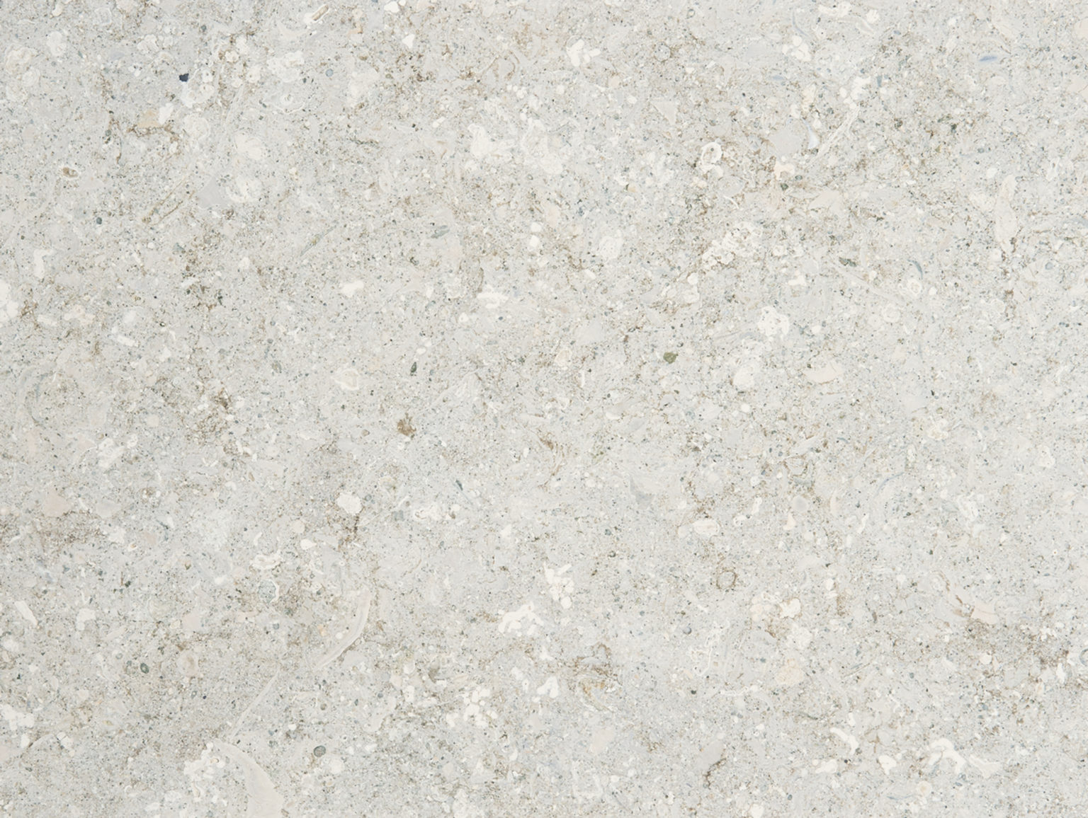 Gallery of Façade Panels - Italian Limestones - 7