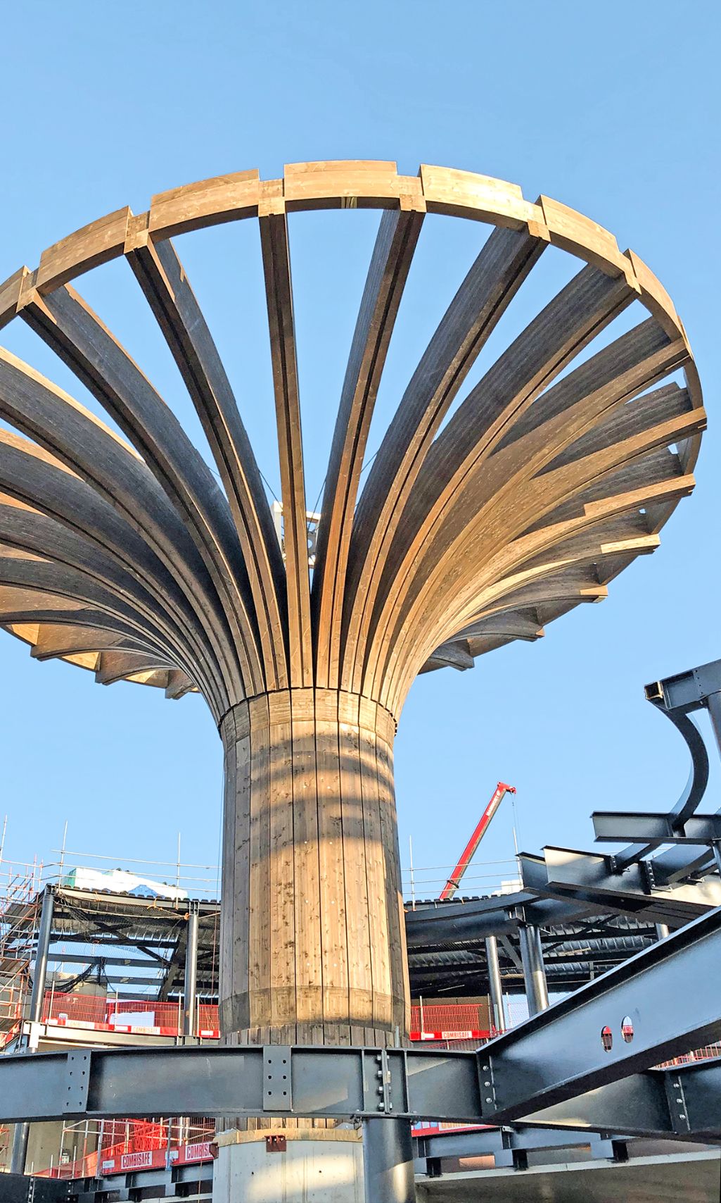 Gallery of Free Form Timber Structures for Venlo Casino - 11