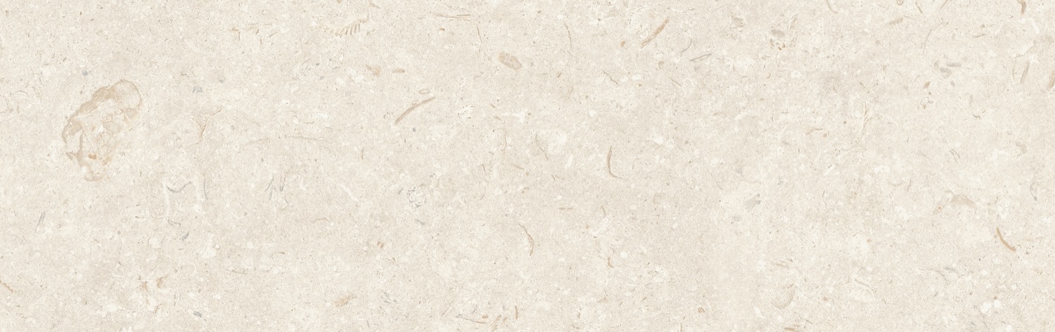 Gallery of Porcelain Wall Tiles - Fósil - 8