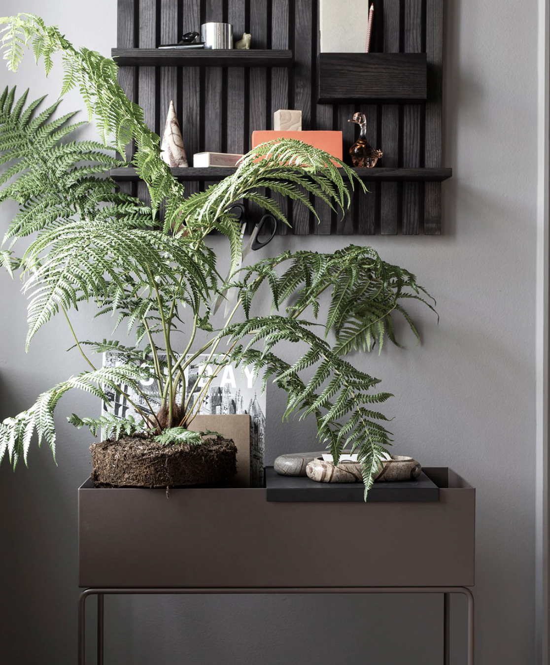 Gallery of How to Create a Plant Box Garden - 6