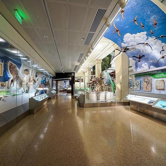 Gallery of Display Case Custom Solutions - 3