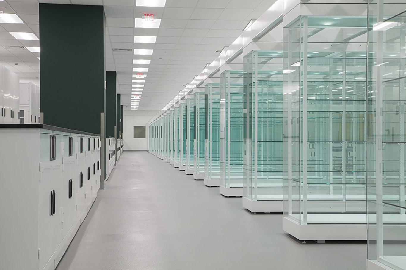 Gallery of Display Cases in Yale University Art Gallery - 3