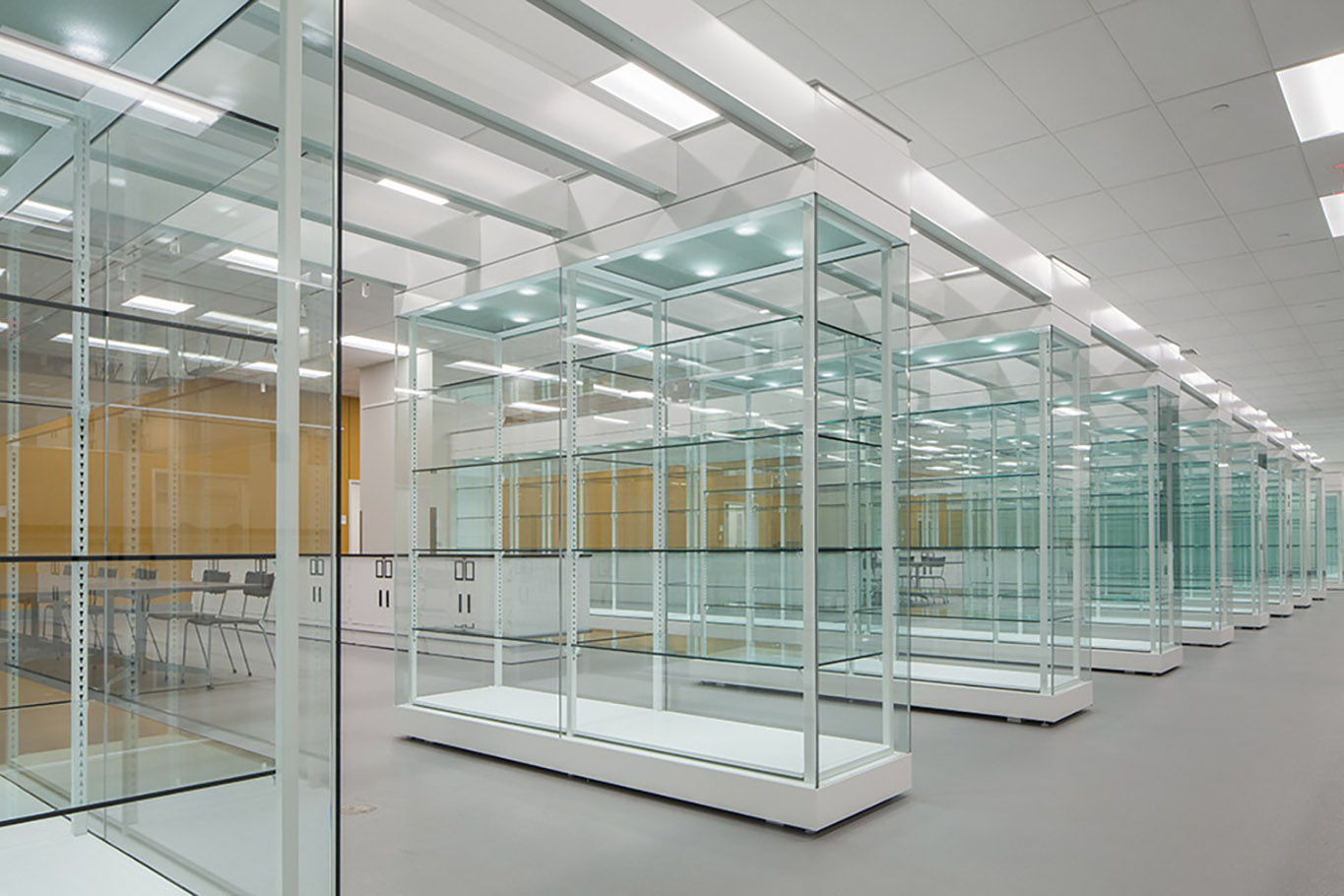 Gallery of Display Cases in Yale University Art Gallery - 4