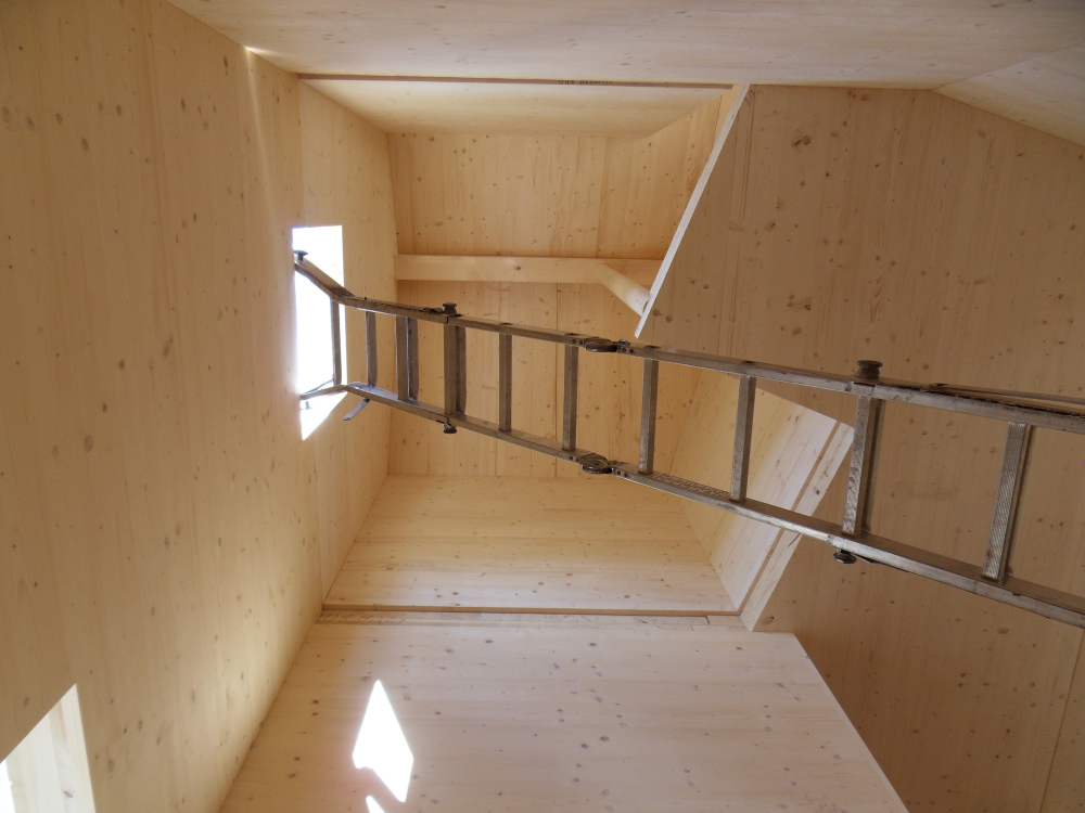 Galeria de Panel de madera CLT - 3