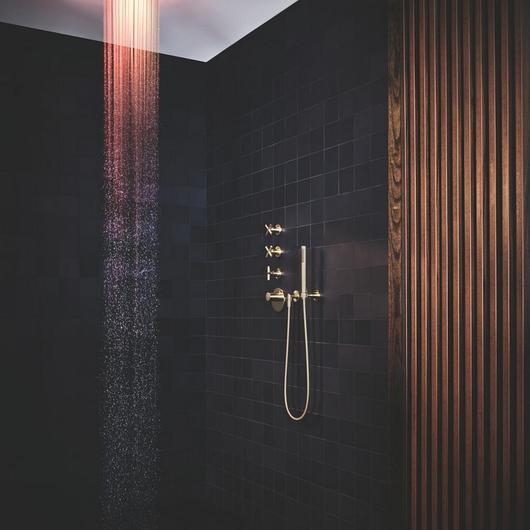 Spa Solutions - Rain Showers from Dornbracht