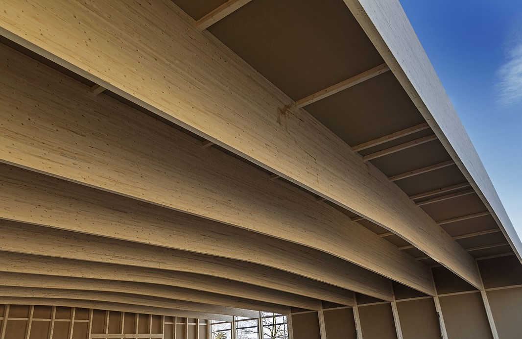 Gallery of Timber Construction Board - LivingBoard - 4