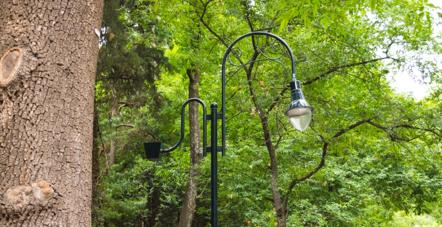 Iluminación Parque Chapultepec de Energain