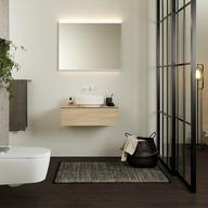 Sanitary Module - Monolith \ Monolith Plus from Geberit