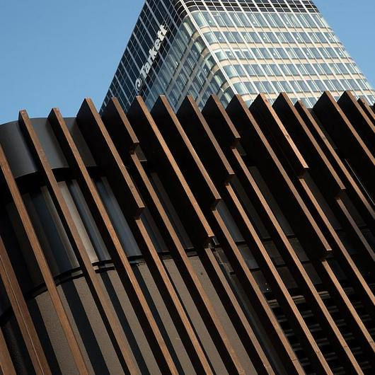 Galeria de Control solar - Fins Bambú Moso - 4