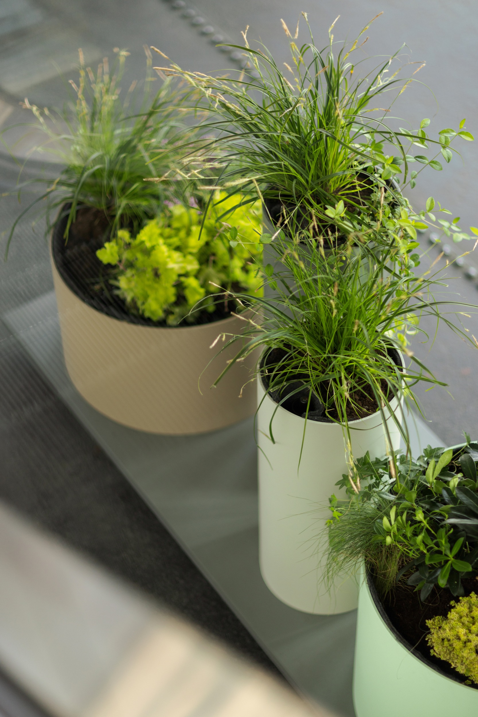 Gallery of Modular Planters - Polys - 2