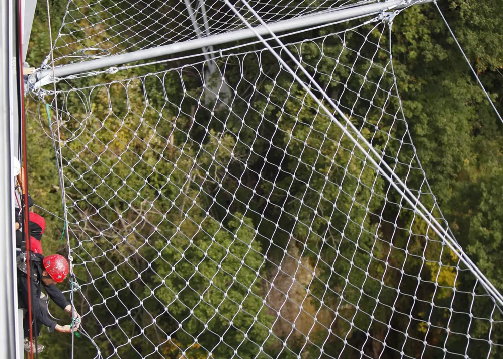 Gallery of Bridge Safety - 3