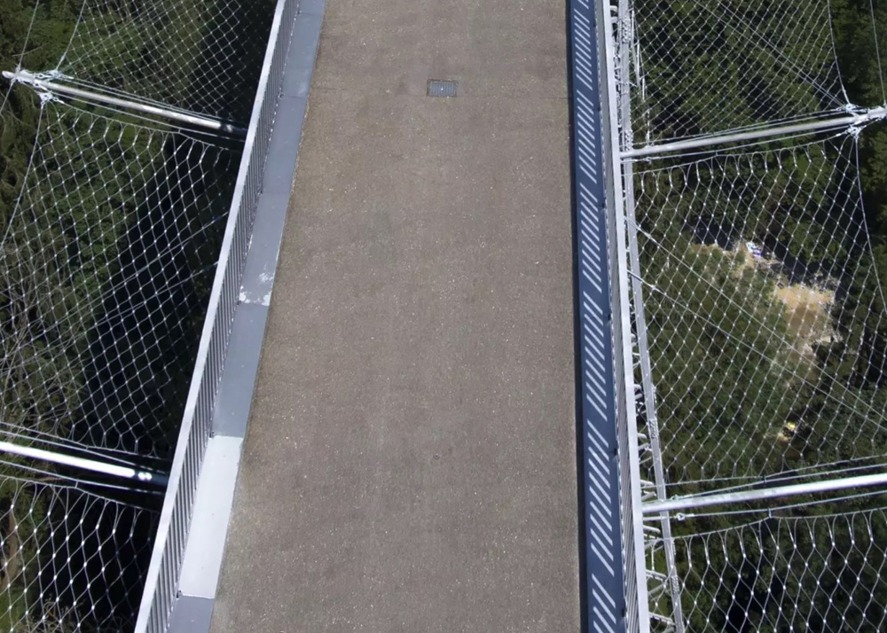 Gallery of Bridge Safety - 7