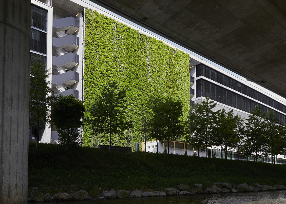 Gallery of Green Walls - 13