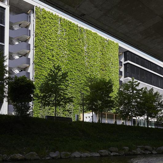 Gallery of Green Walls - 13