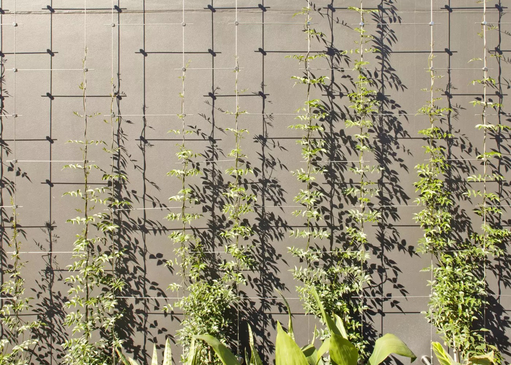 Gallery of Green Walls - 12