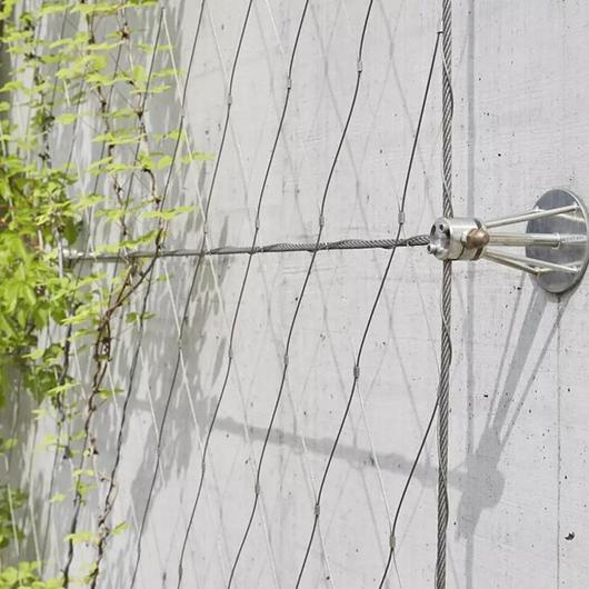 Green Walls from Jakob