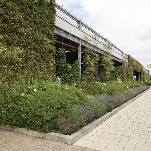 Gallery of Green Walls - 9