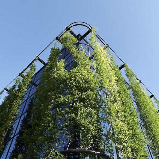 Gallery of Green Walls - 8