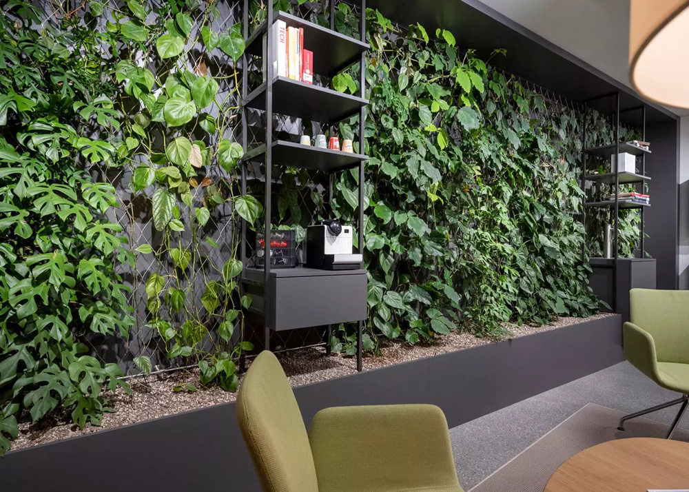 Gallery of Green Solutions - 7