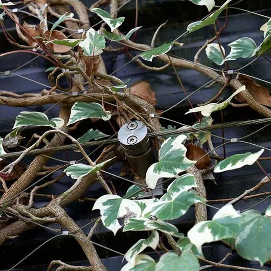 Webnet Metal Mesh from Jakob