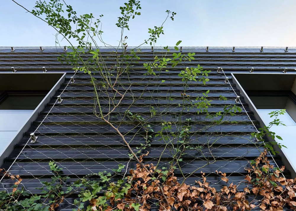 Gallery of Webnet Metal Mesh - 5