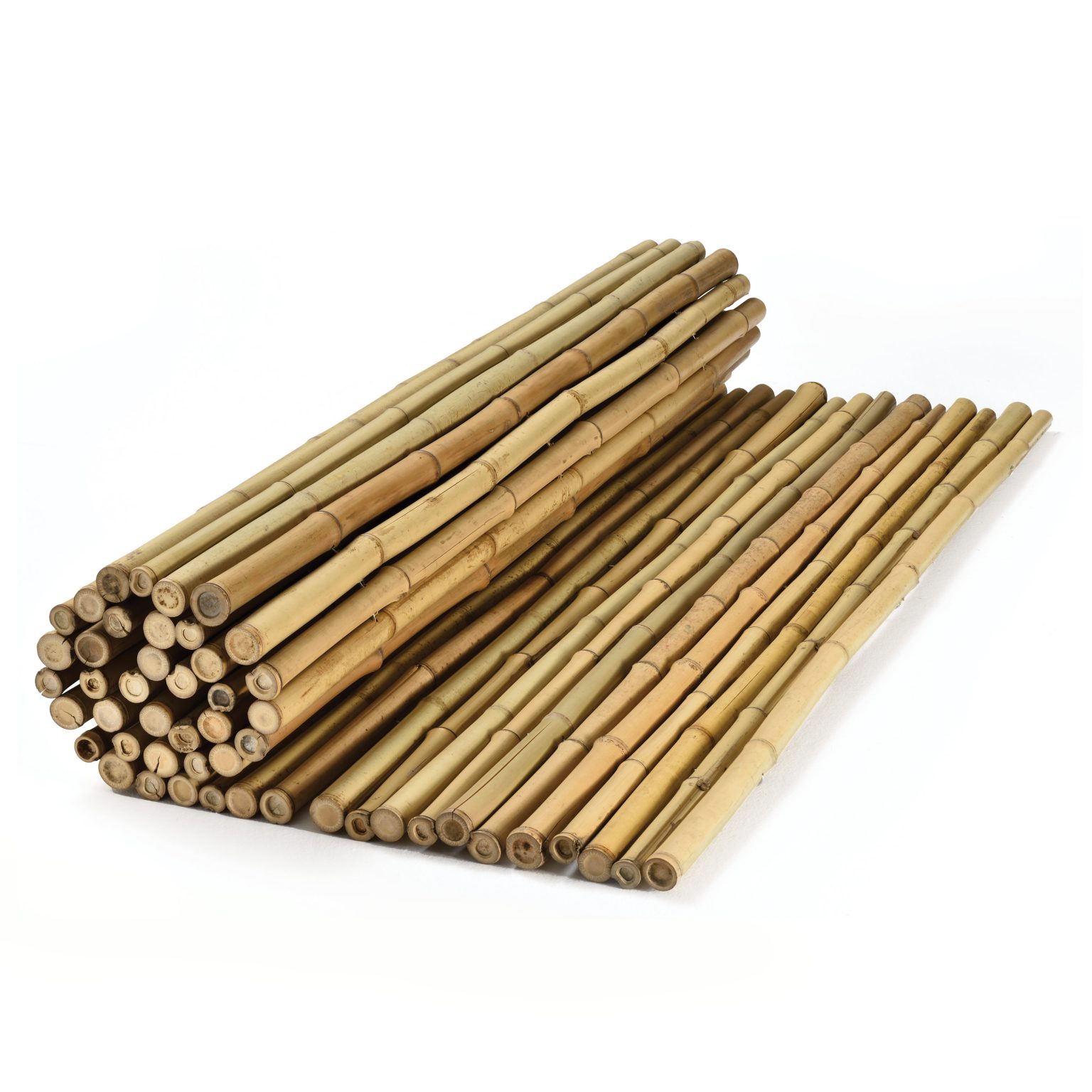 Gallery of Natural Materials - Bamboos - 9