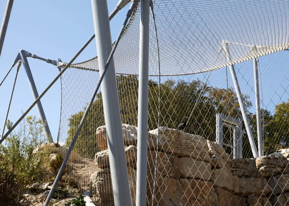 Gallery of Animal Enclosures - 2