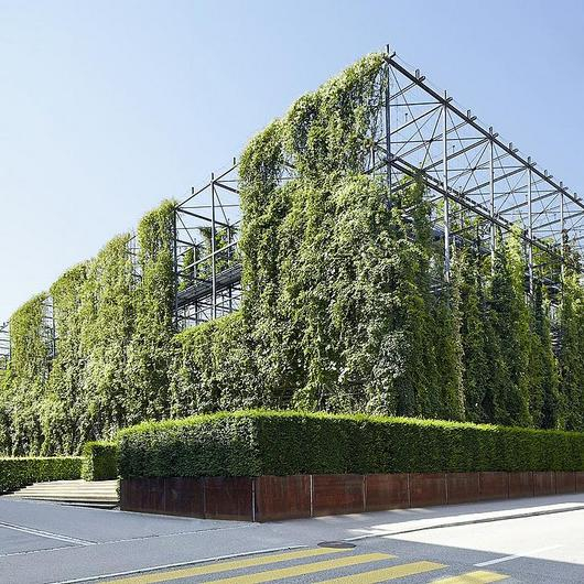 Galeria de Fachadas verdes - 2