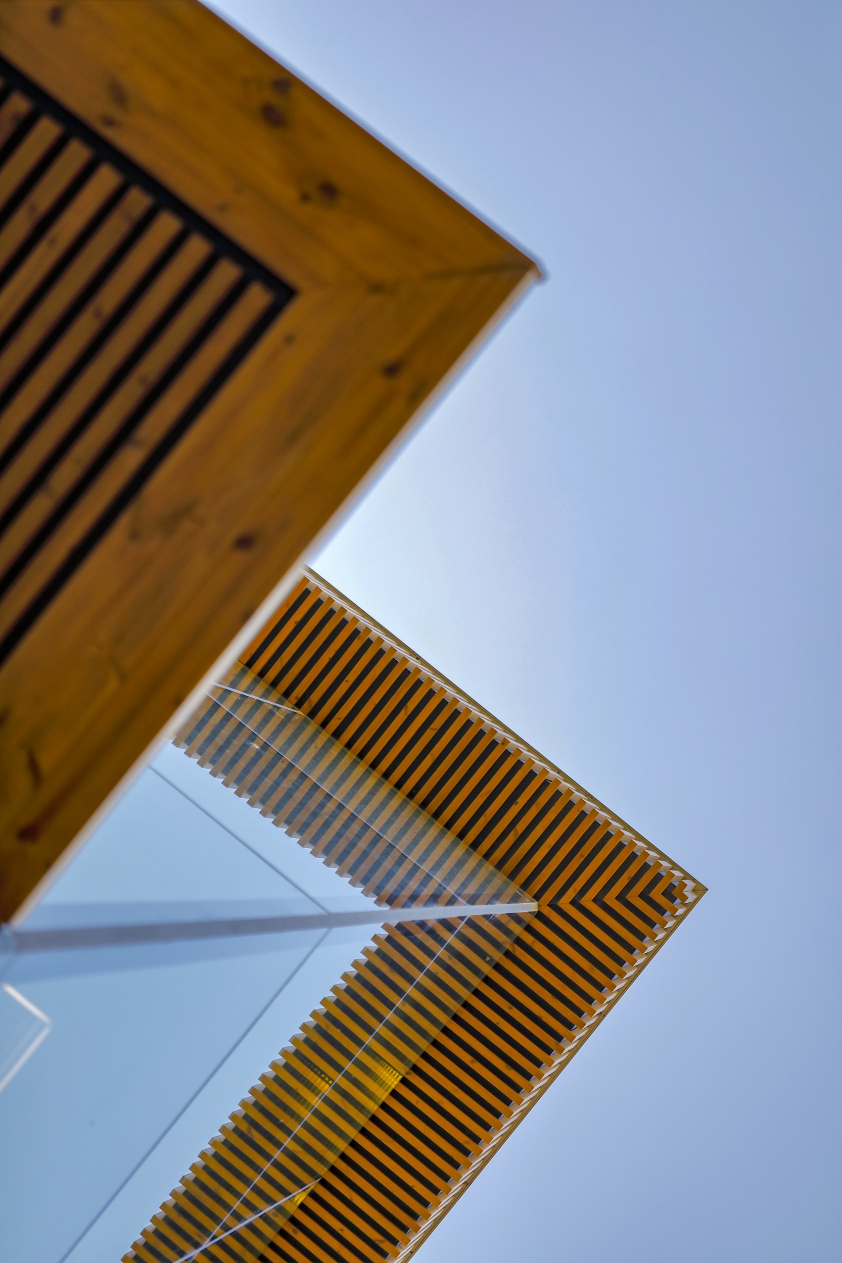 Gallery of ThermoWood Cladding - Pine - 7