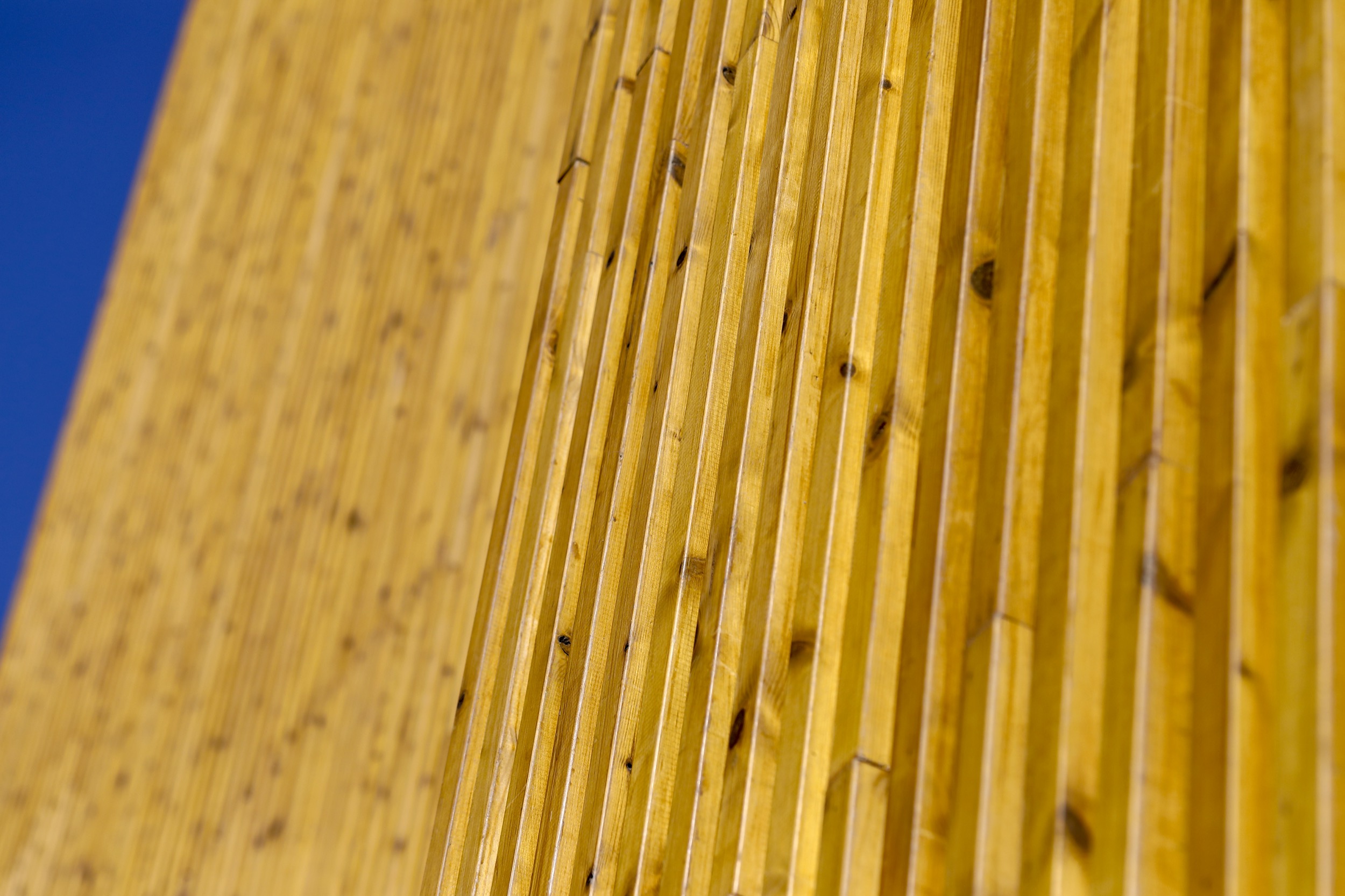 Gallery of ThermoWood Cladding - Pine - 5