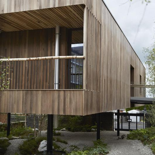 Gallery of Thermally Modified Wood Cladding - Poplar - 2