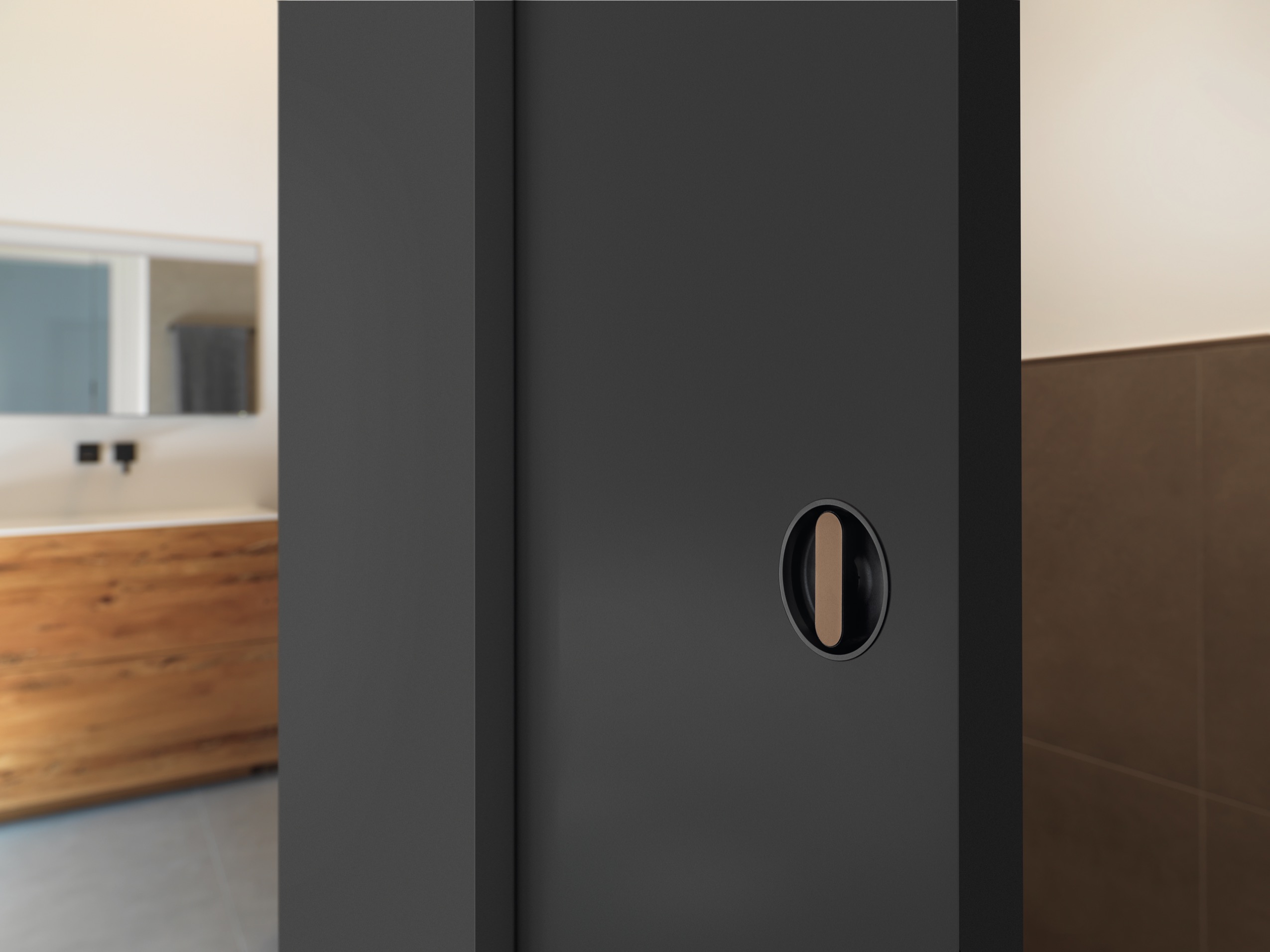 Gallery of Sliding Door Handles - 1