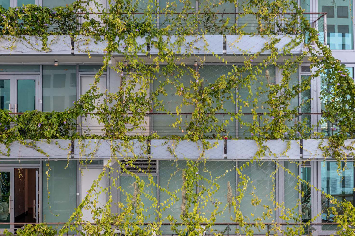 Gallery of Wire Mesh and Cables in Monad Terrace - 4