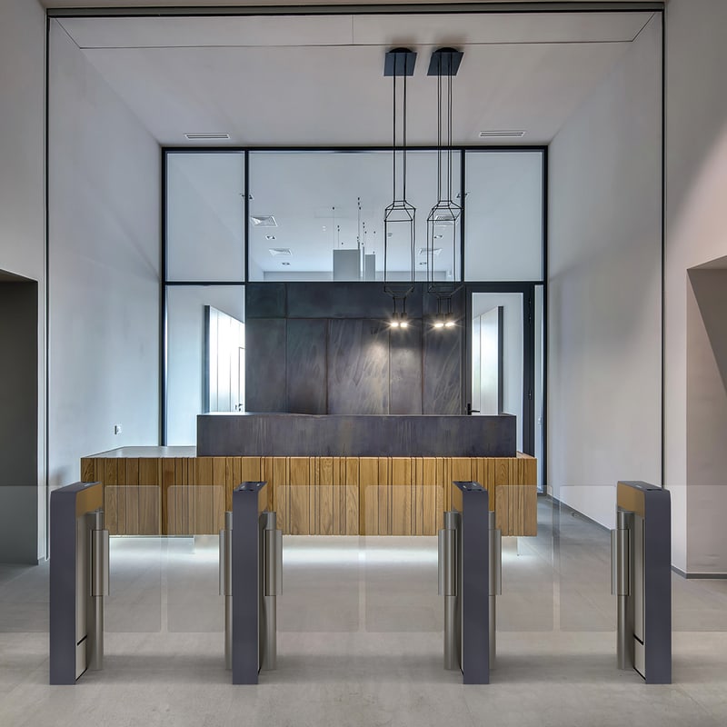 Gallery of Sensor Barriers & Speed Gates - 6