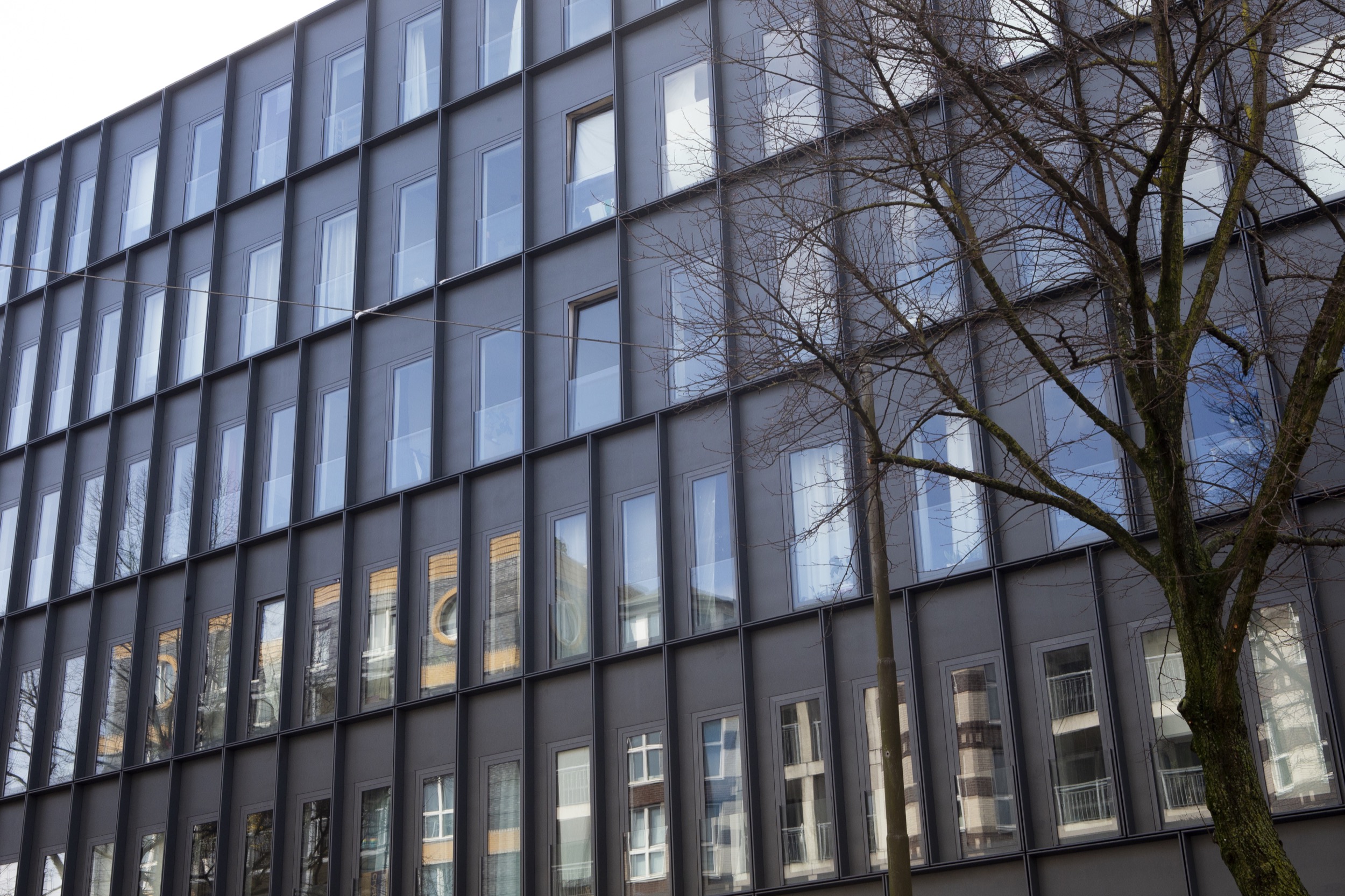 Gallery of Roller Shades in DC Van Hall Building - 10