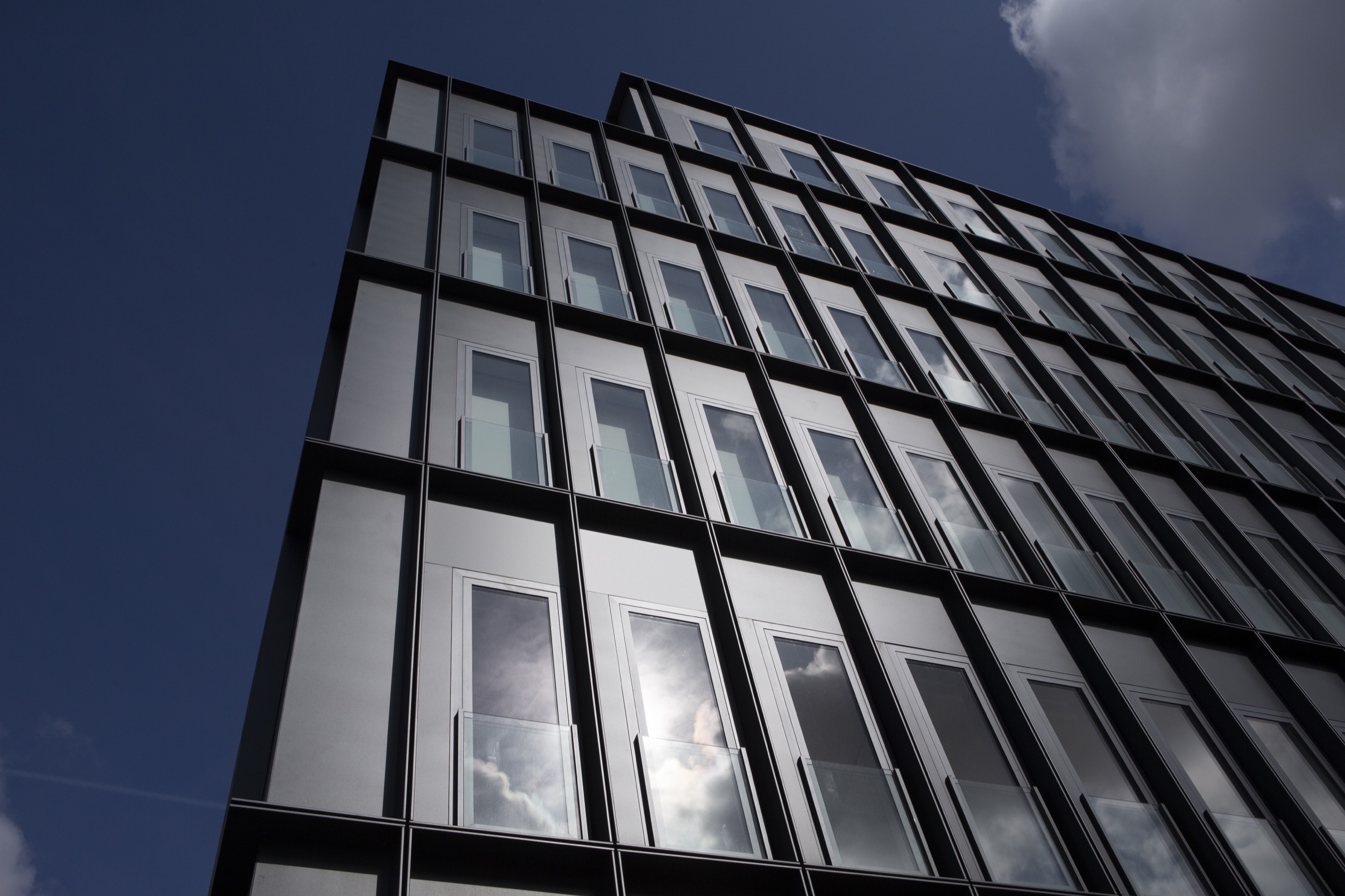 Gallery of Roller Shades in DC Van Hall Building - 7