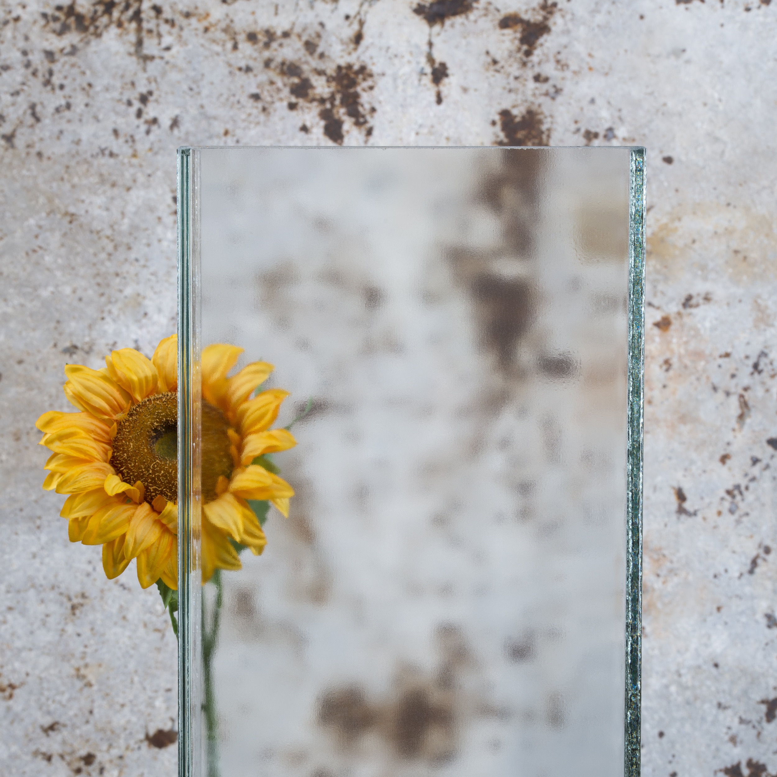 Gallery of Profiled Glass - LINIT U-Glass - 9