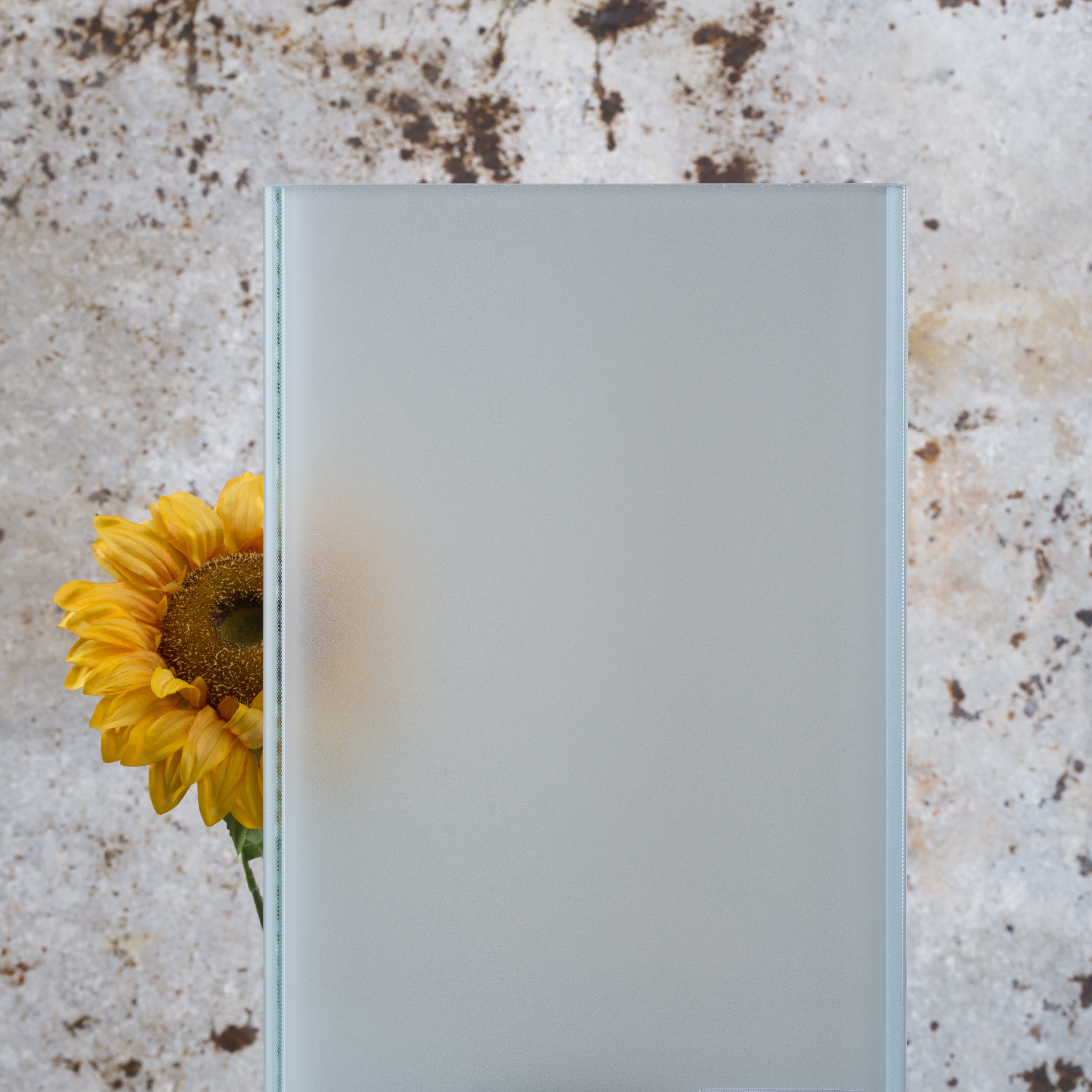 Gallery of Profiled Glass - LINIT U-Glass - 3