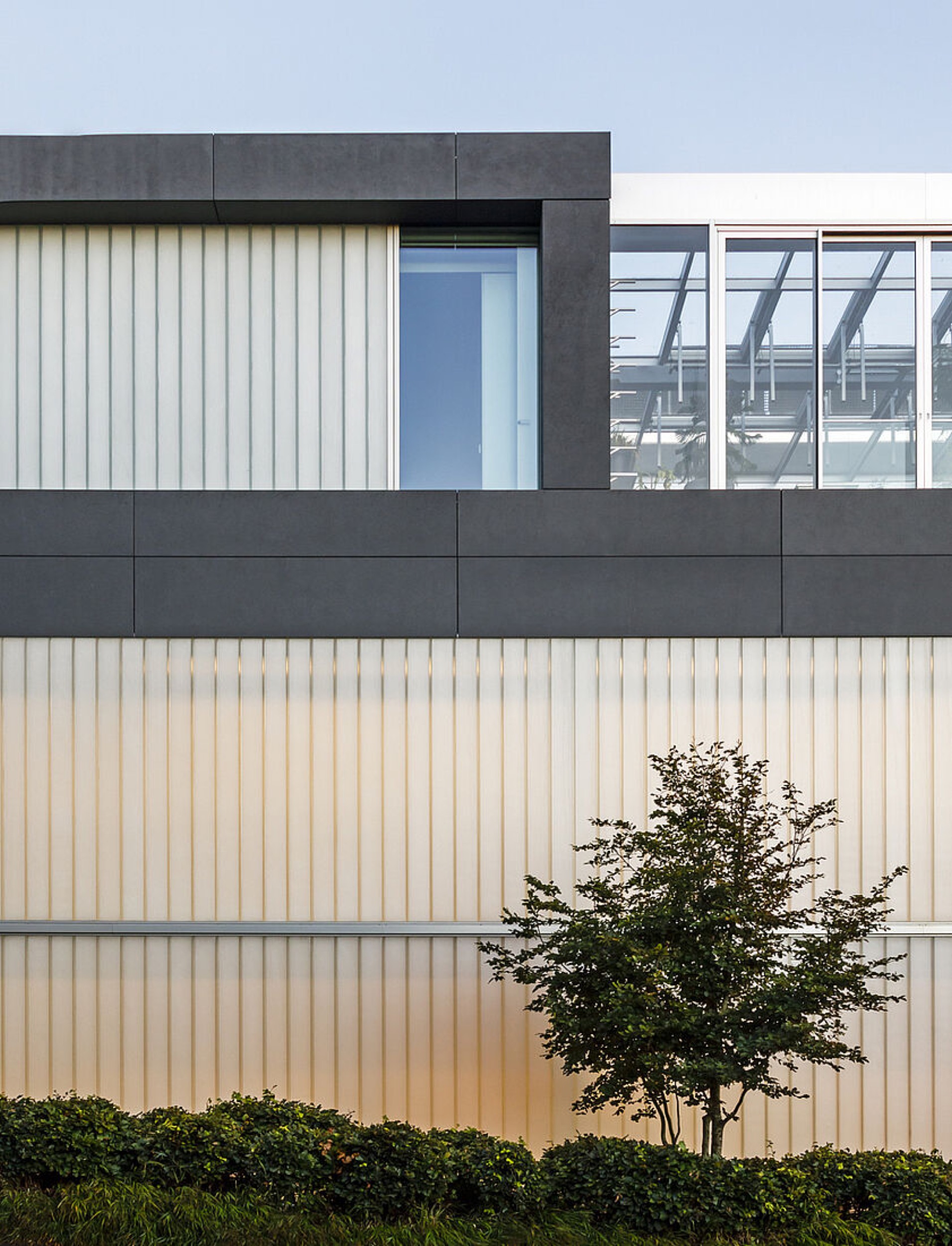 Gallery of Profiled Glass in Brighton College - 7