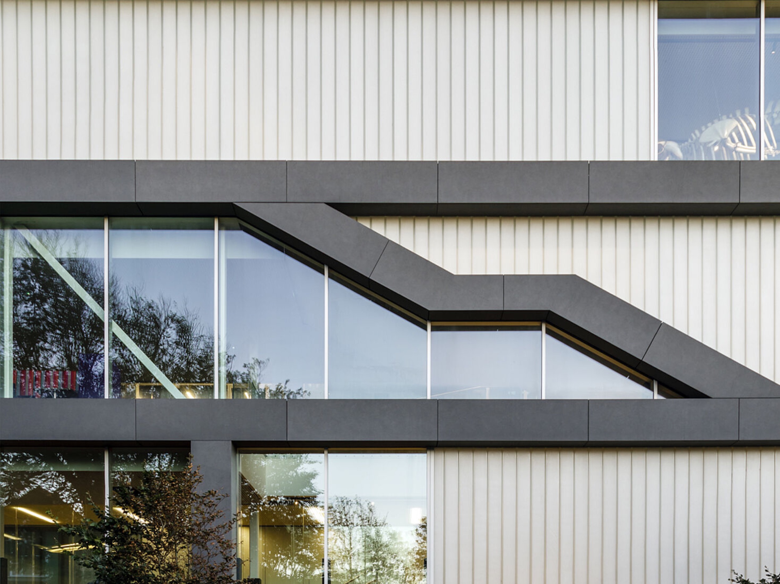 Gallery of Profiled Glass in Brighton College - 5