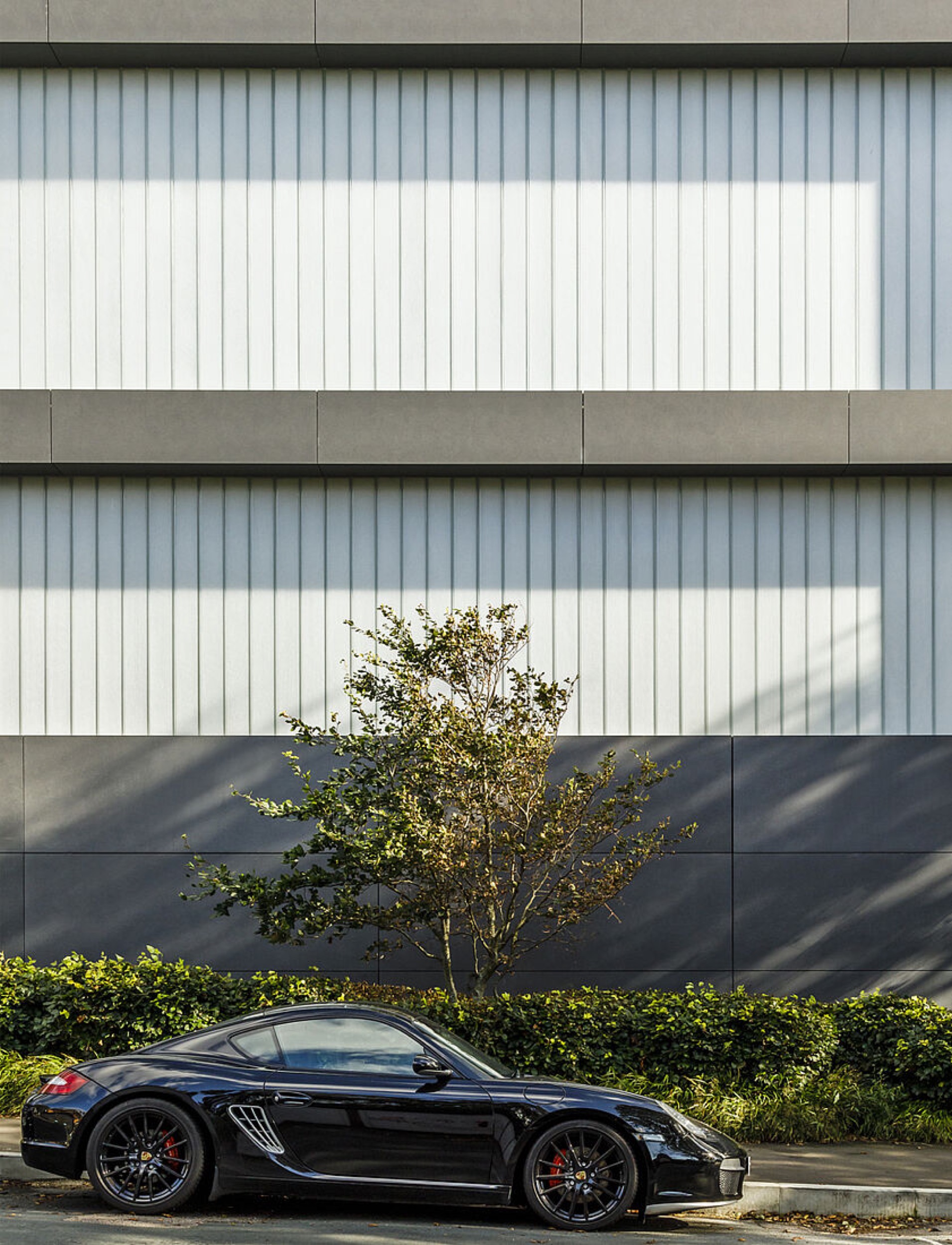 Gallery of Profiled Glass in Brighton College - 4