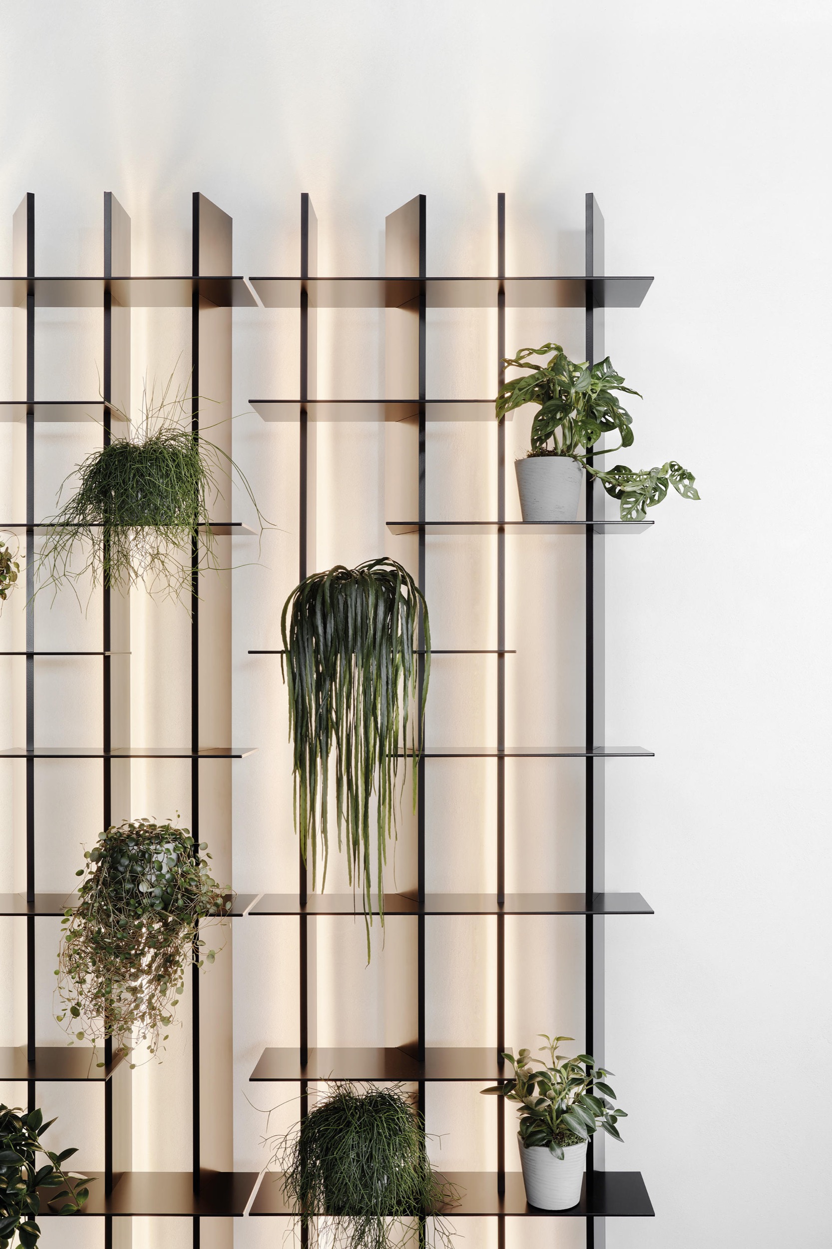 Gallery of Illuminated Bookcase - CCLight - 9